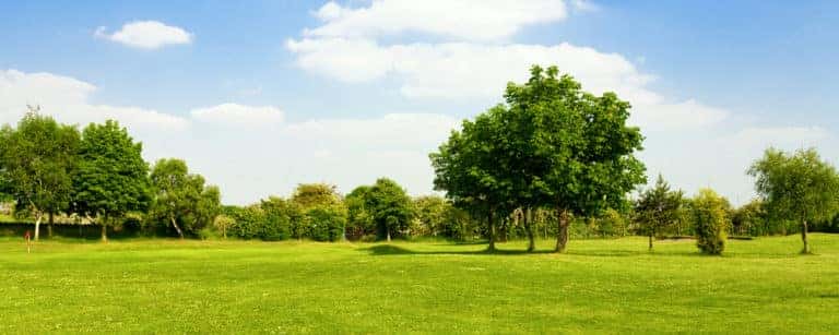 Parks in Elgin to Explore this Season | Biggers Mazda in Elgin