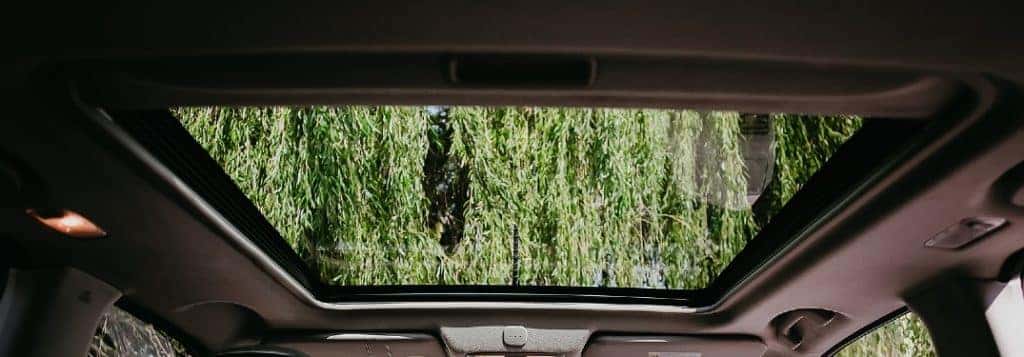 Pros and Cons of Panoramic Roofs: Should You Buy a Car With One?