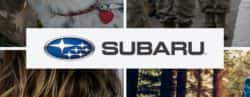 What the Subaru Logo Means - Learn More About Subaru History