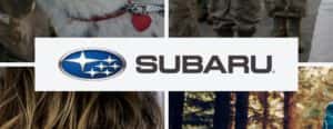 What the Subaru Logo Means - Learn More About Subaru History