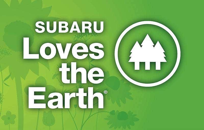 The Environmentally Conscious Initiatives of Centennial Subaru