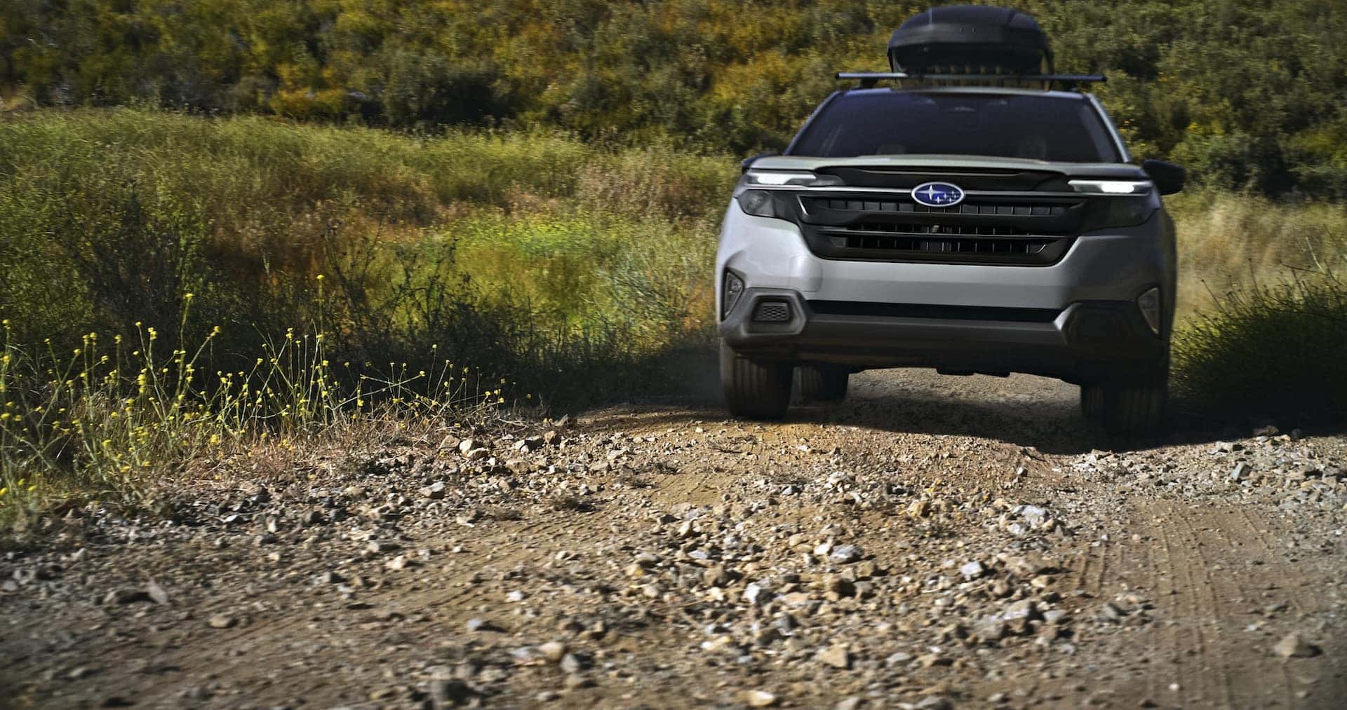2025 Subaru Forester | Centennial Subaru